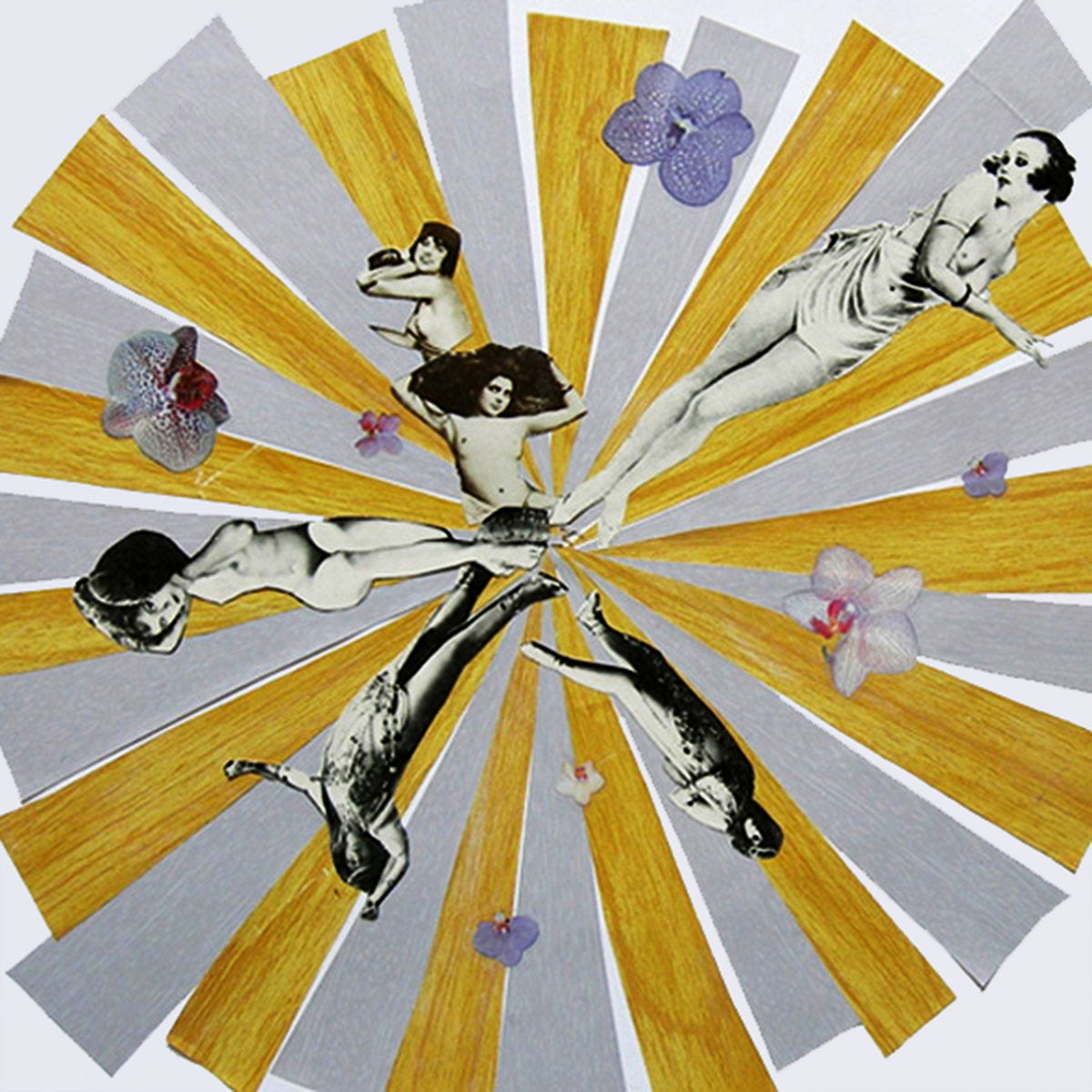 Arrows - Fields – World Of Echo