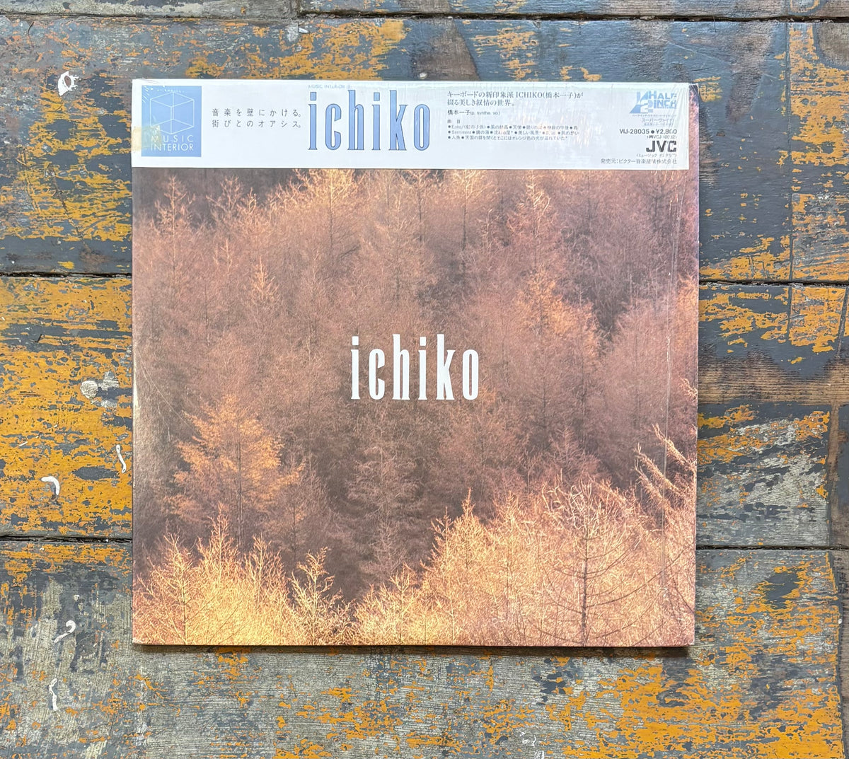 Ichiko Hashimoto - Ichiko – World Of Echo