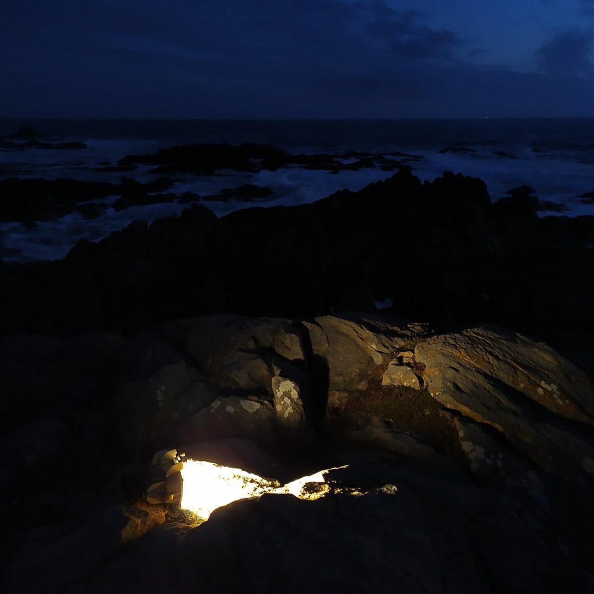 Henry Cyer - Roots of Empathy – World Of Echo