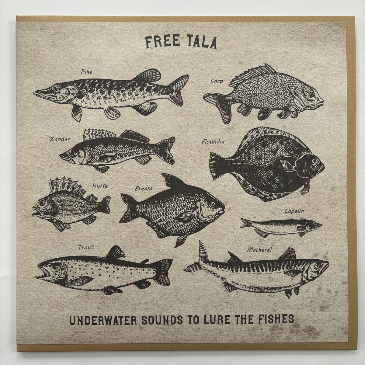 Free Tala - Underwater Sounds to Lure the Fishes – World Of Echo
