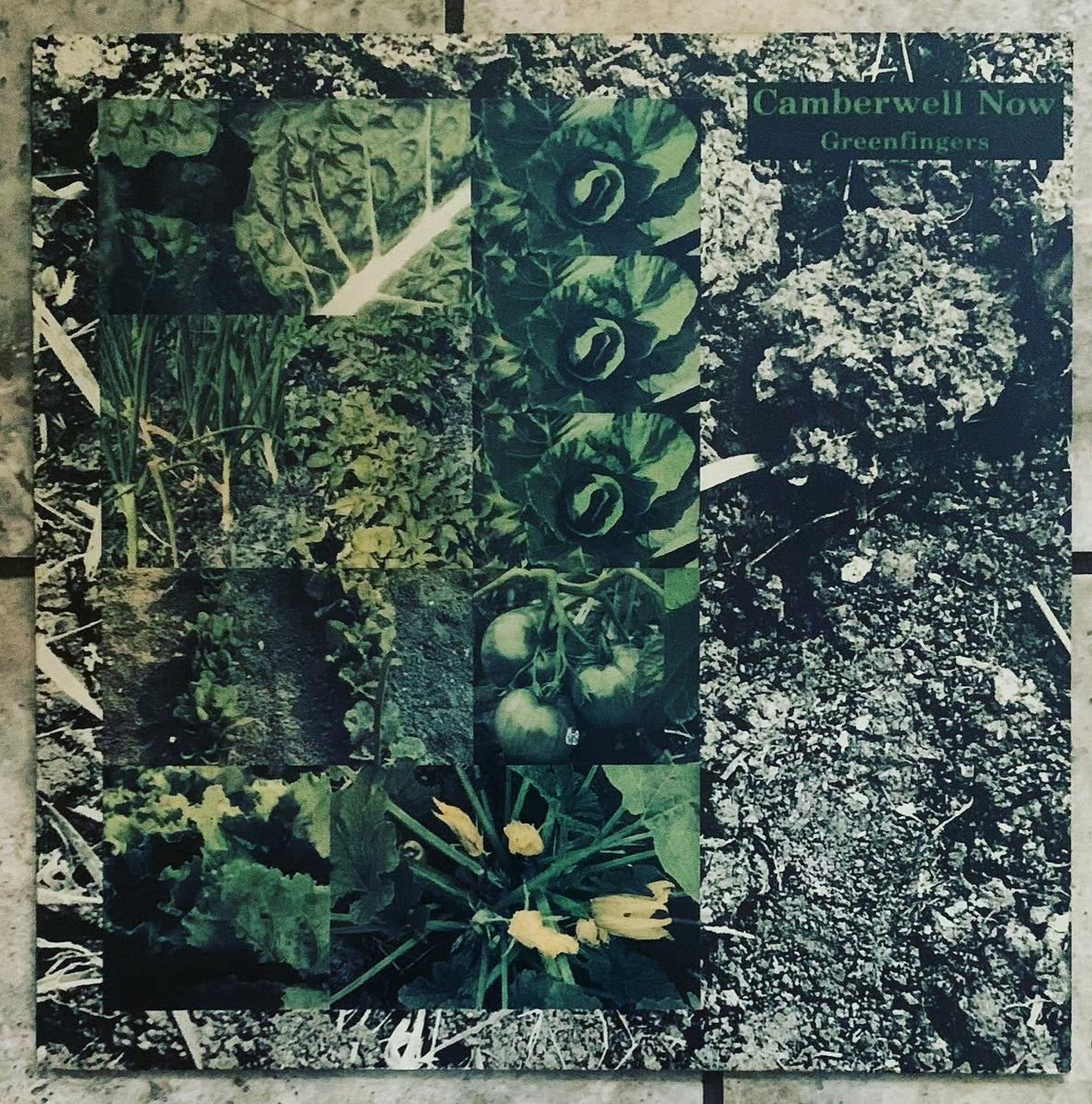 Camberwell Now - Greenfingers – World Of Echo