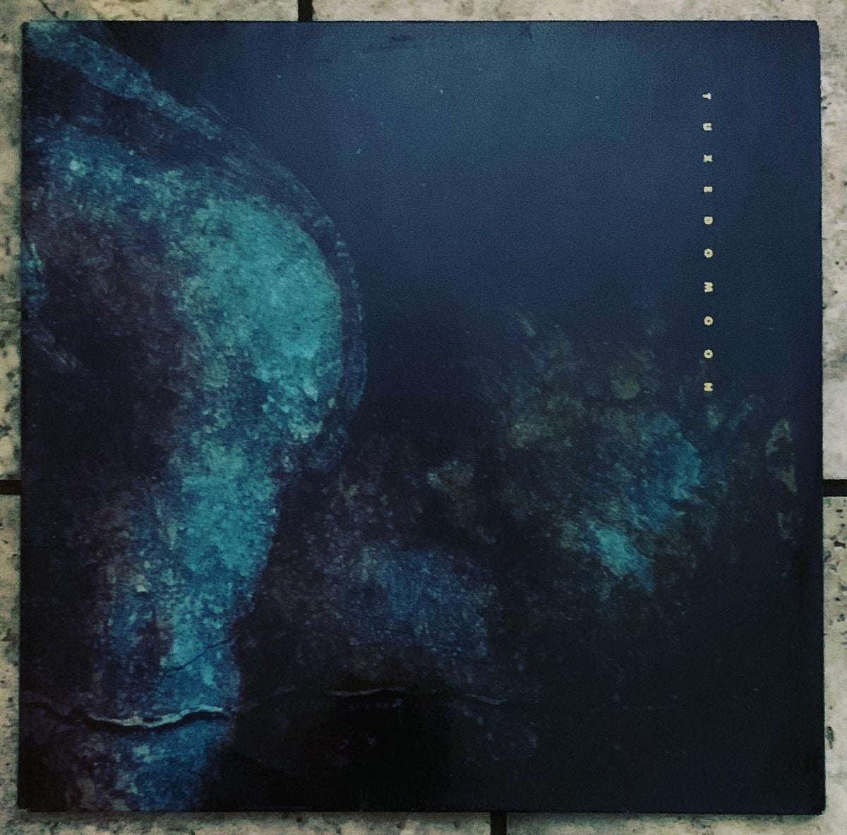 Tuxedomoon - Pinheads on the Move – World Of Echo