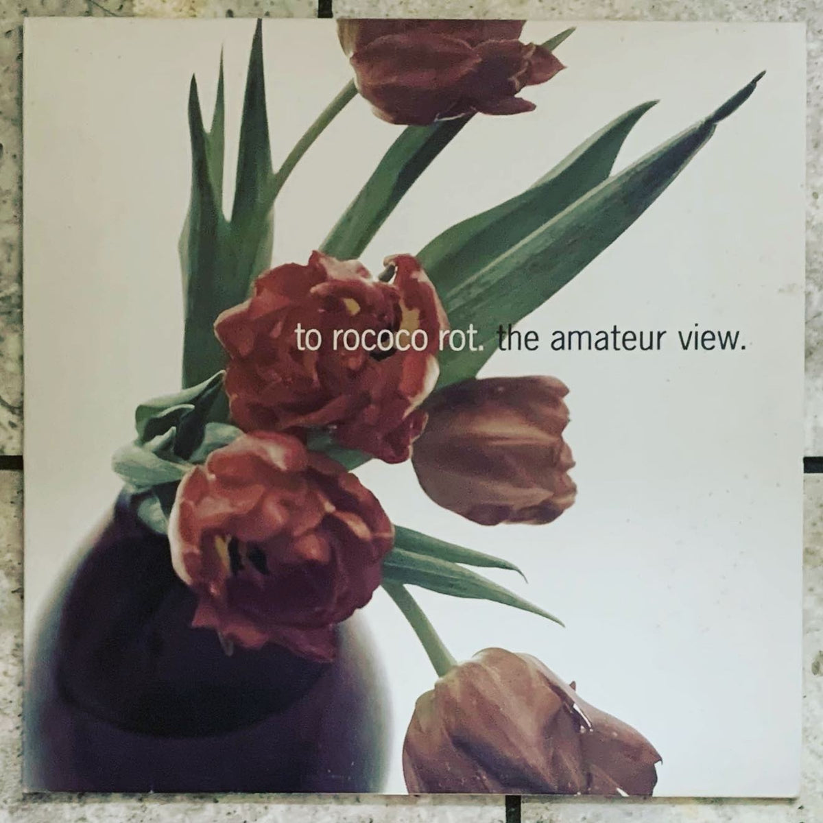 To Rococo Rot - The Amateur View – World Of Echo