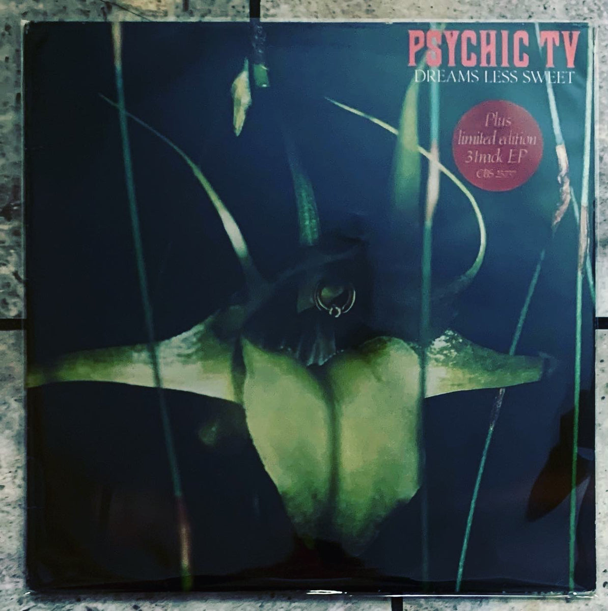 Psychic TV - Dreams Less Sweet – World Of Echo