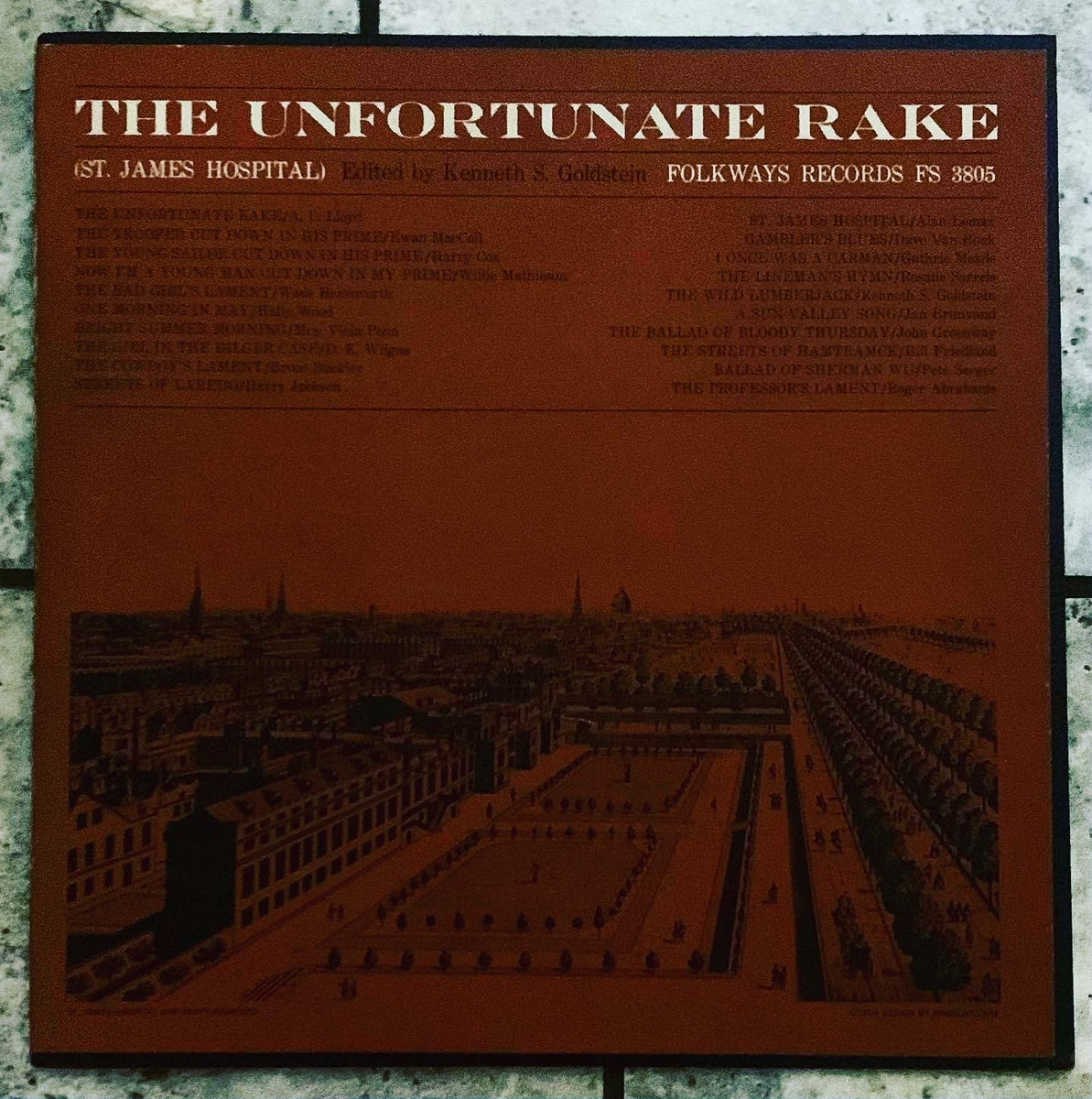 Various - The Unfortunate Rake – World Of Echo