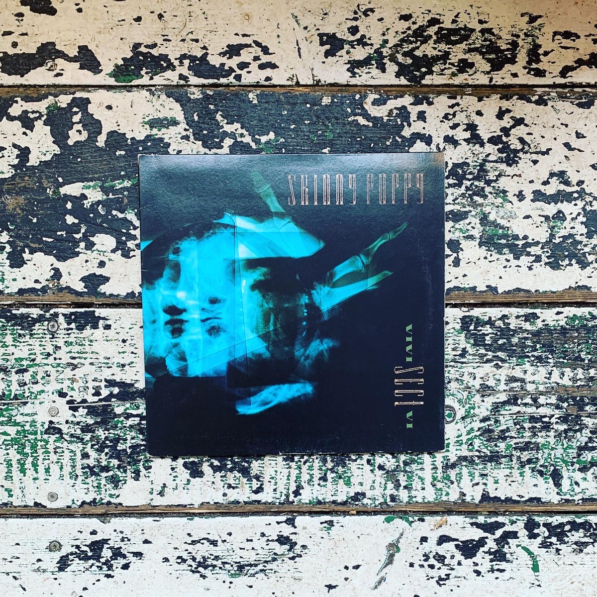 Skinny Puppy - ViviSECTvi – World Of Echo
